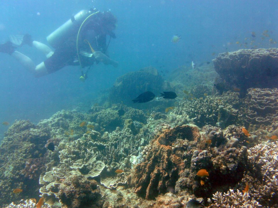 Make It Davao: Samal Watersports Center