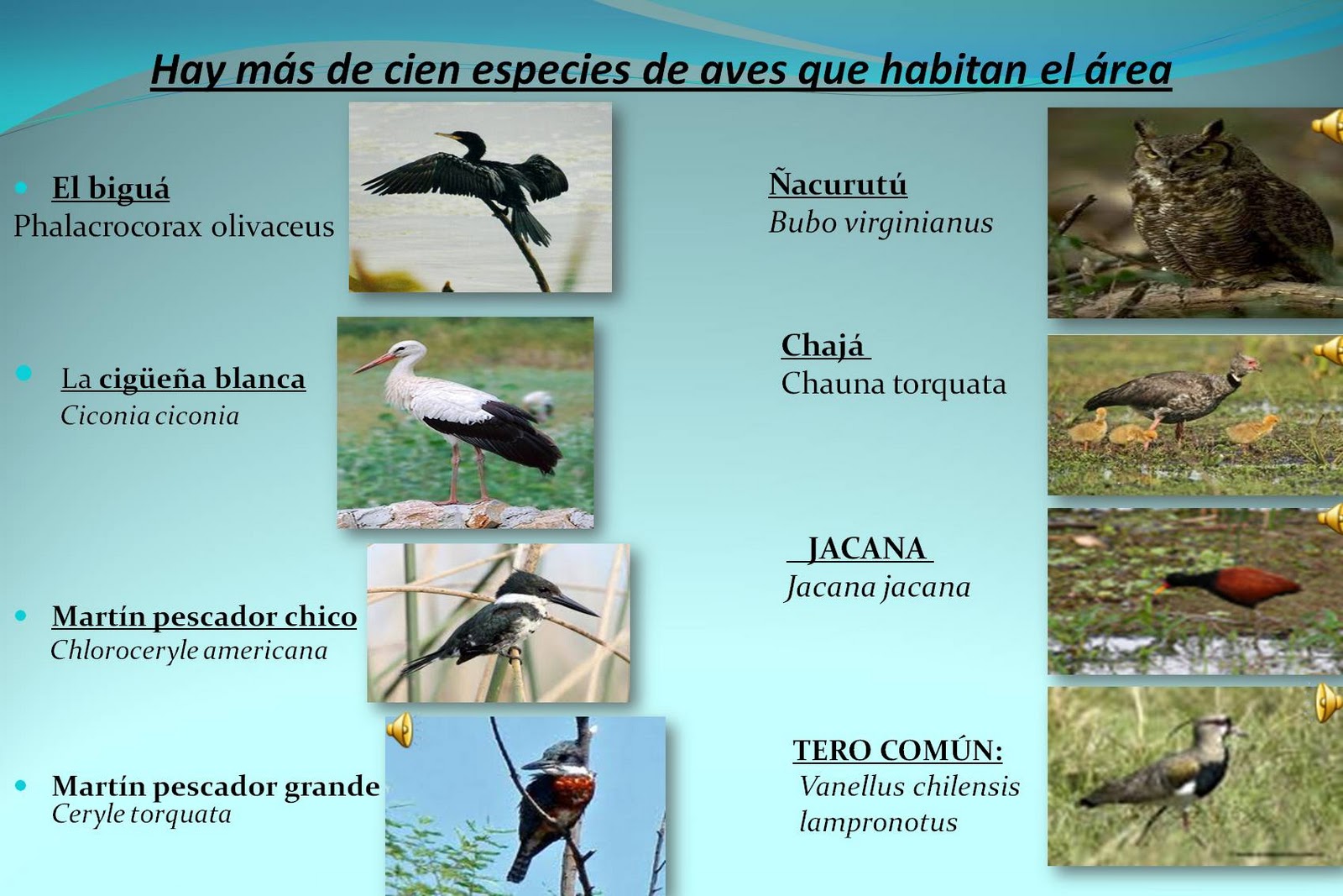ASI ES FORMOSA: PRESENTACIONES