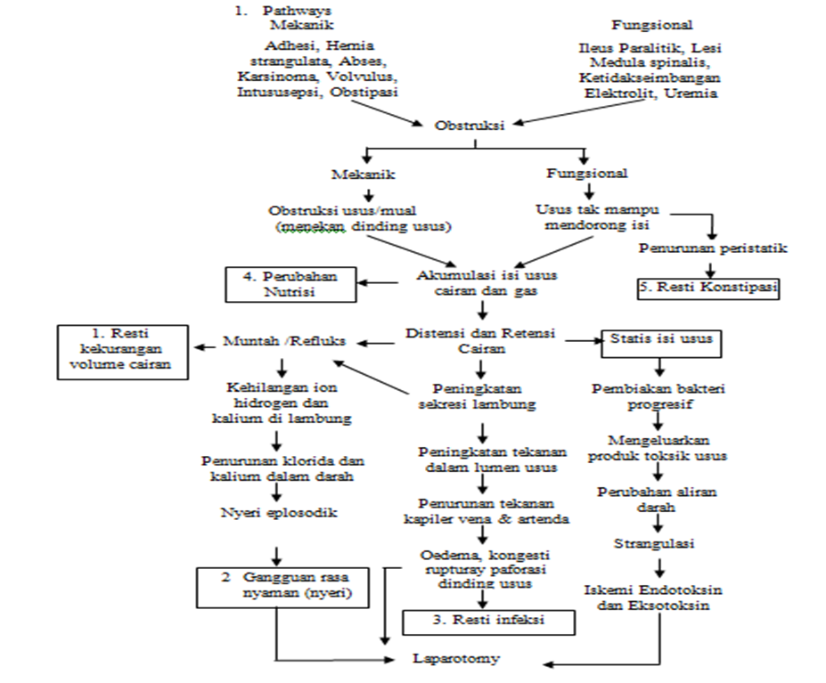 Pathway Ileus Obstruktif | My XXX Hot Girl