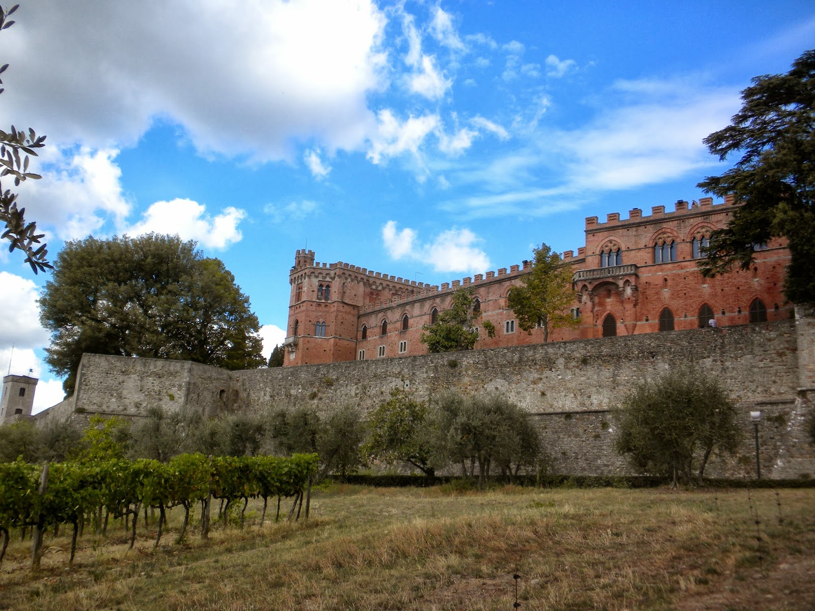 From a Tuscan Hillside: Castello di Brolio