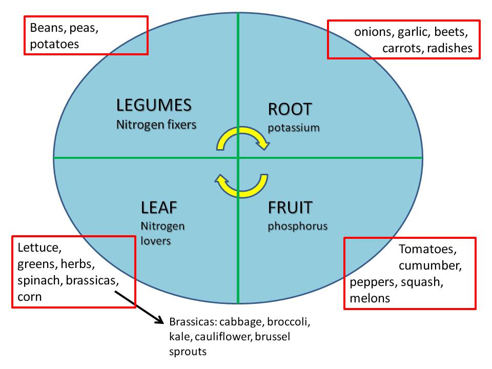 Creating the 1/4 acre garden