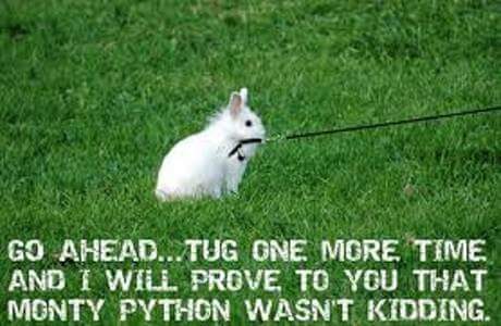 Monty Python Rabbit Meme