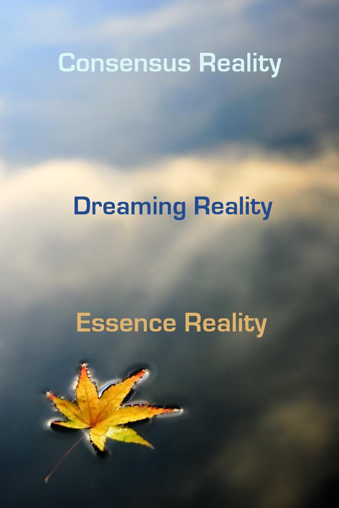 Breathing Forgiveness: Anti-Slavery Campaign Interview Series. Jan Dworkin