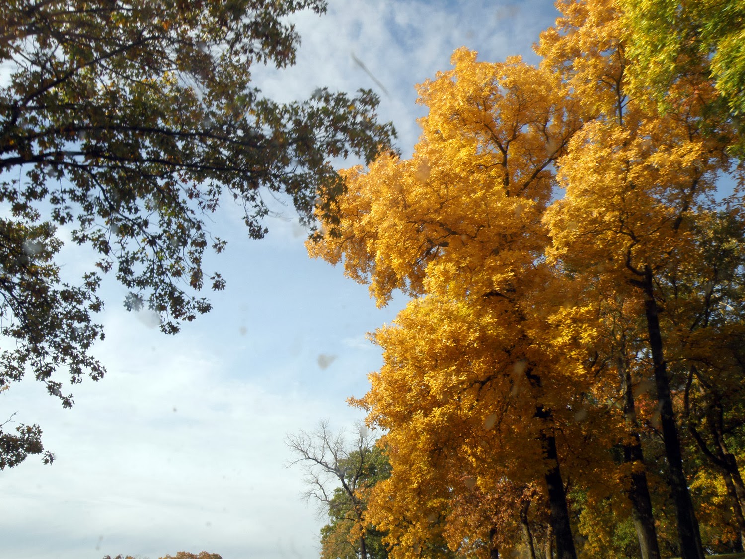 Kansas City Kansan: PHOTOS: Fall foliage at Wyandotte County Lake