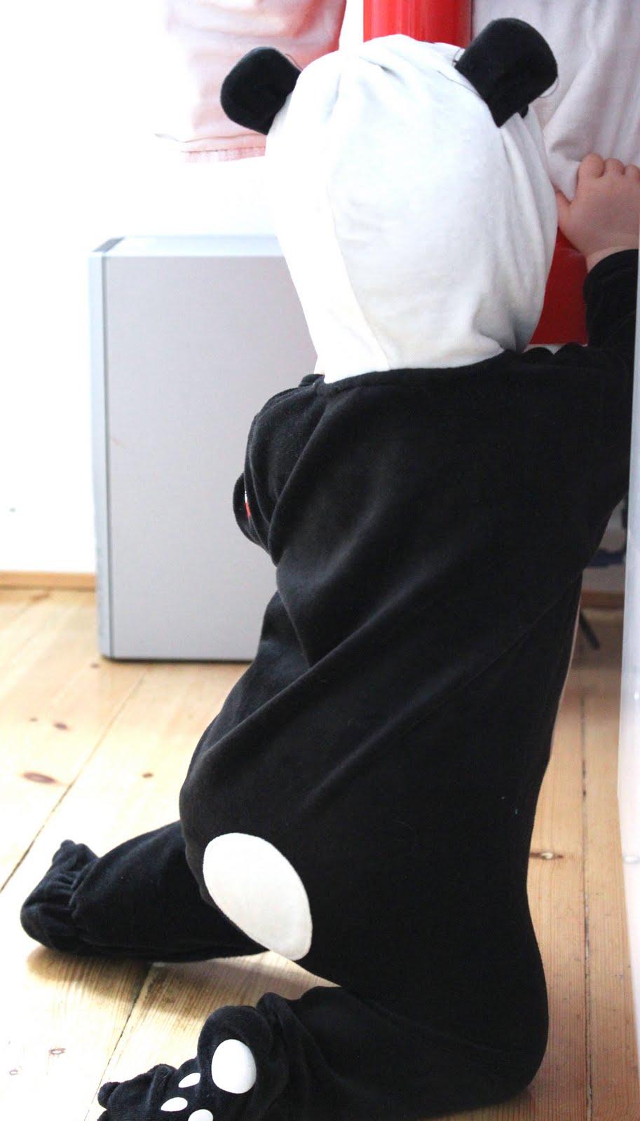 Nasun Asu: toukokuuta 2011