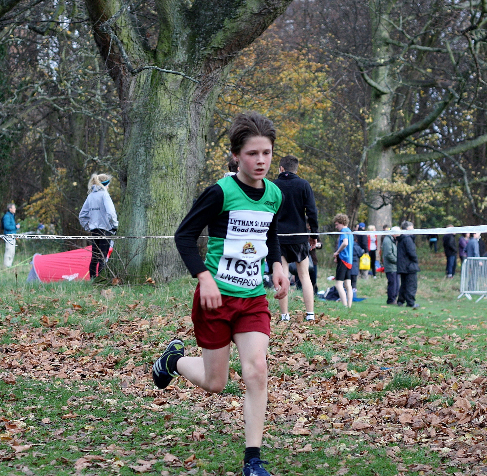 LSARRC News: November 2011