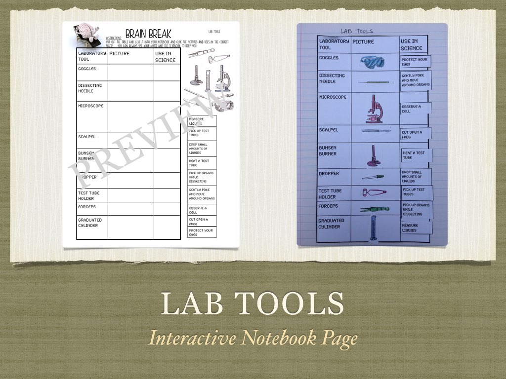 Interactive Notebooks in Biology