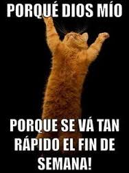 IMÁGENES GRACIOSAS PARA COMPARTIR CUANDO SE ACABA UN PUENTE | IMÁGENES ...