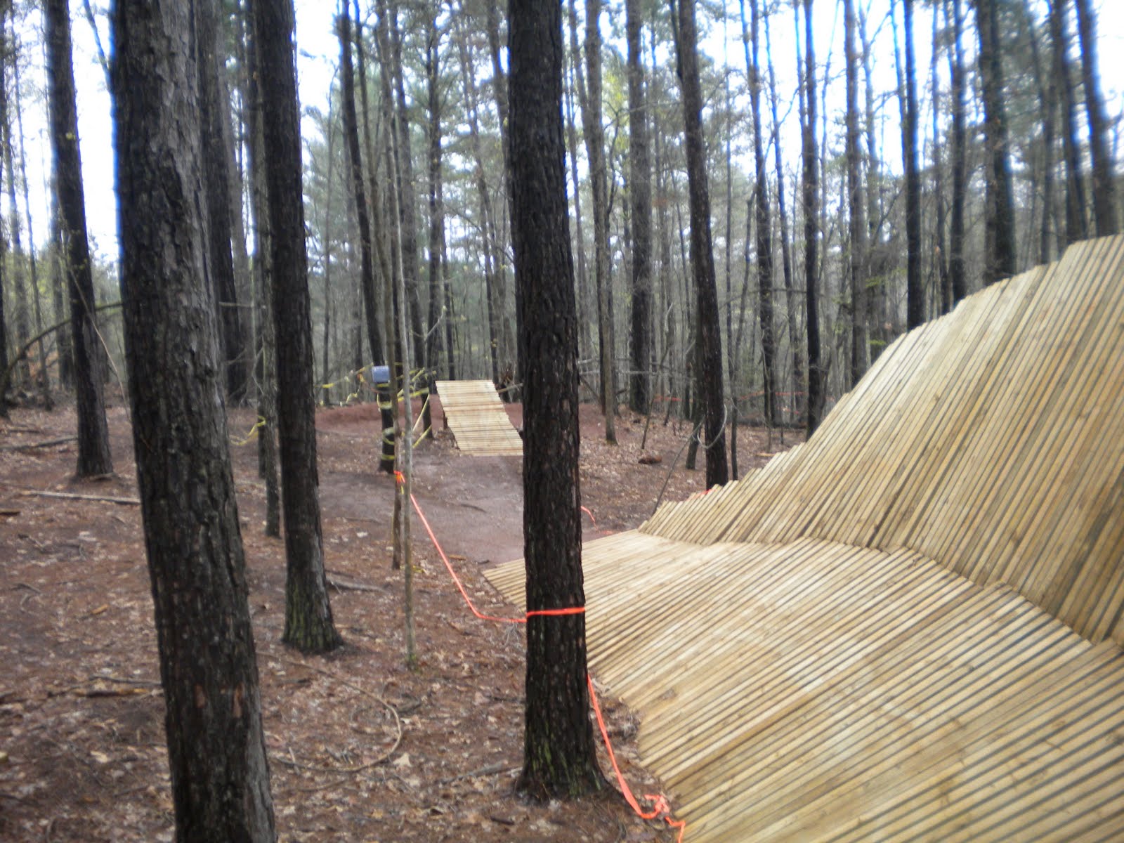 Kansas City Rasta Rider: Issaqueena Forest in pictures and captions.