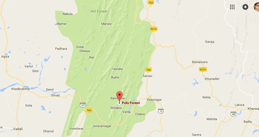 Beautiful place in Gujarat for monsoon season to visit - polo forest.