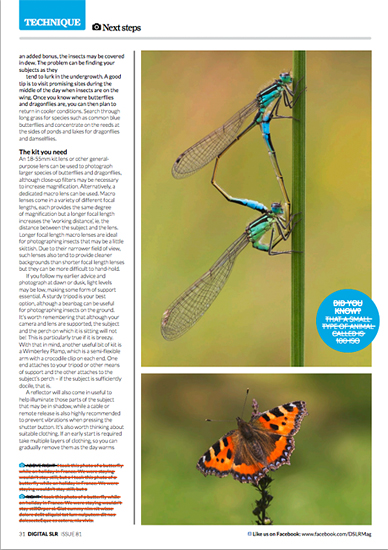Matt Cole Macro Photography: Butterflies and Dragonflies Article in ...