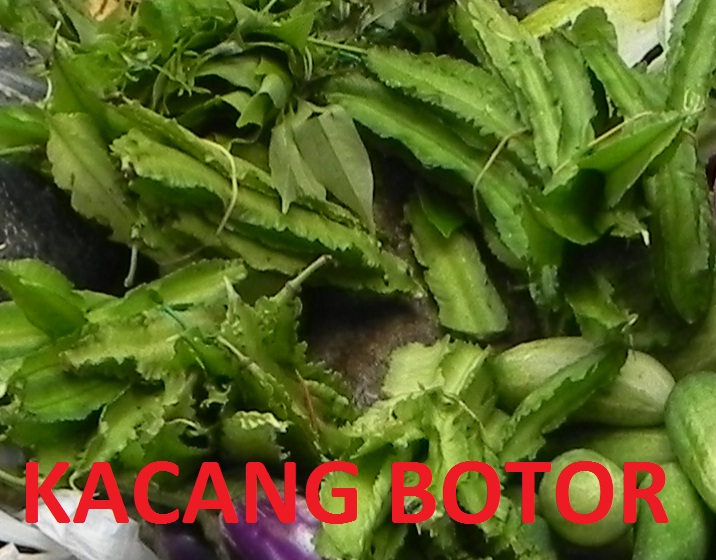 Diet Sihat: Kacang Botor