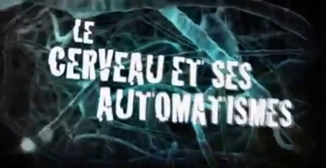 Le cerveau et ses automatismes
