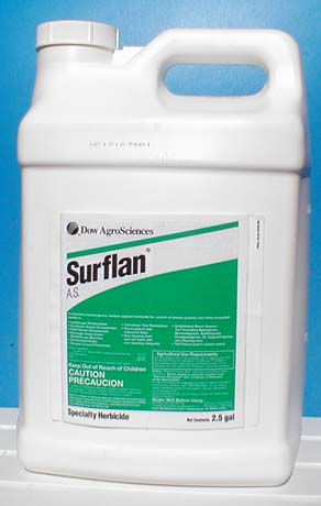 Xtremehorticulture of the Desert: 05 February 2012