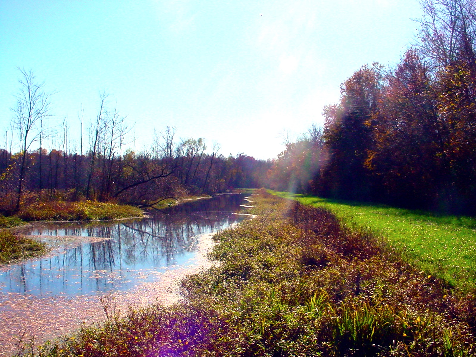 Muscatatuck National Wildlife Refuge