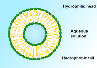 VISTA Expertise Weblog: 2012