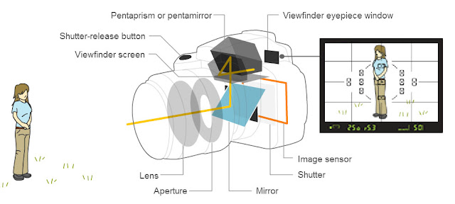 Guide to Digital SLR: DSLR Camera Setup