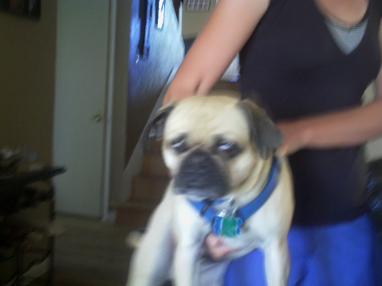 Dukie Pookie