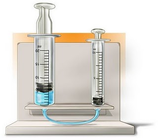 Experimentos de Física con Material Casero : Principio de Pascal ...