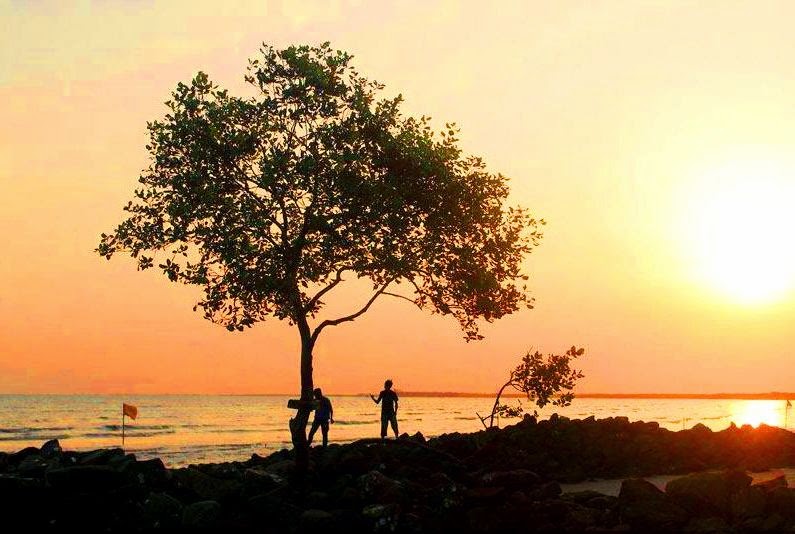 Wow 21+ Gambar Pantai Bunga Batubara - Gambar Bunga Indah