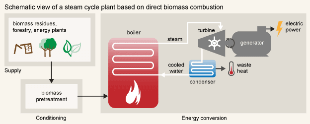 PowerplantKMUTNB: Direct-firing Biomass Powerplant