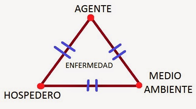 Recolección de apuntes: TRIADA EPIDEMIOLÓGICA