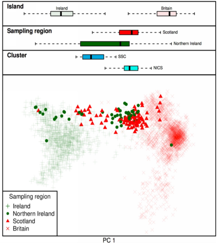 bensozia: Irish Genes