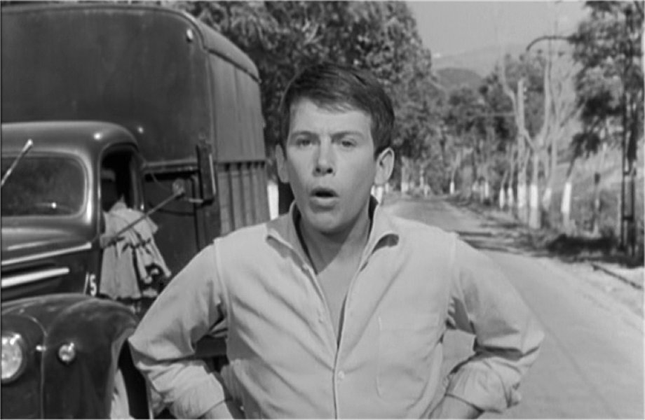 L'Alligatographe: Taxi roulotte et corrida