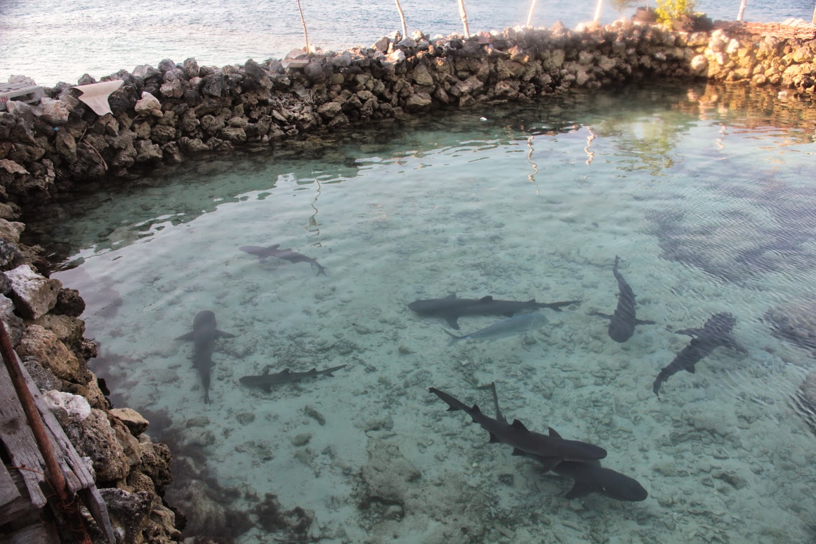 Tempat dan Pemandangan yang Bagus di KarimunJawa ~ Oky Anggoro