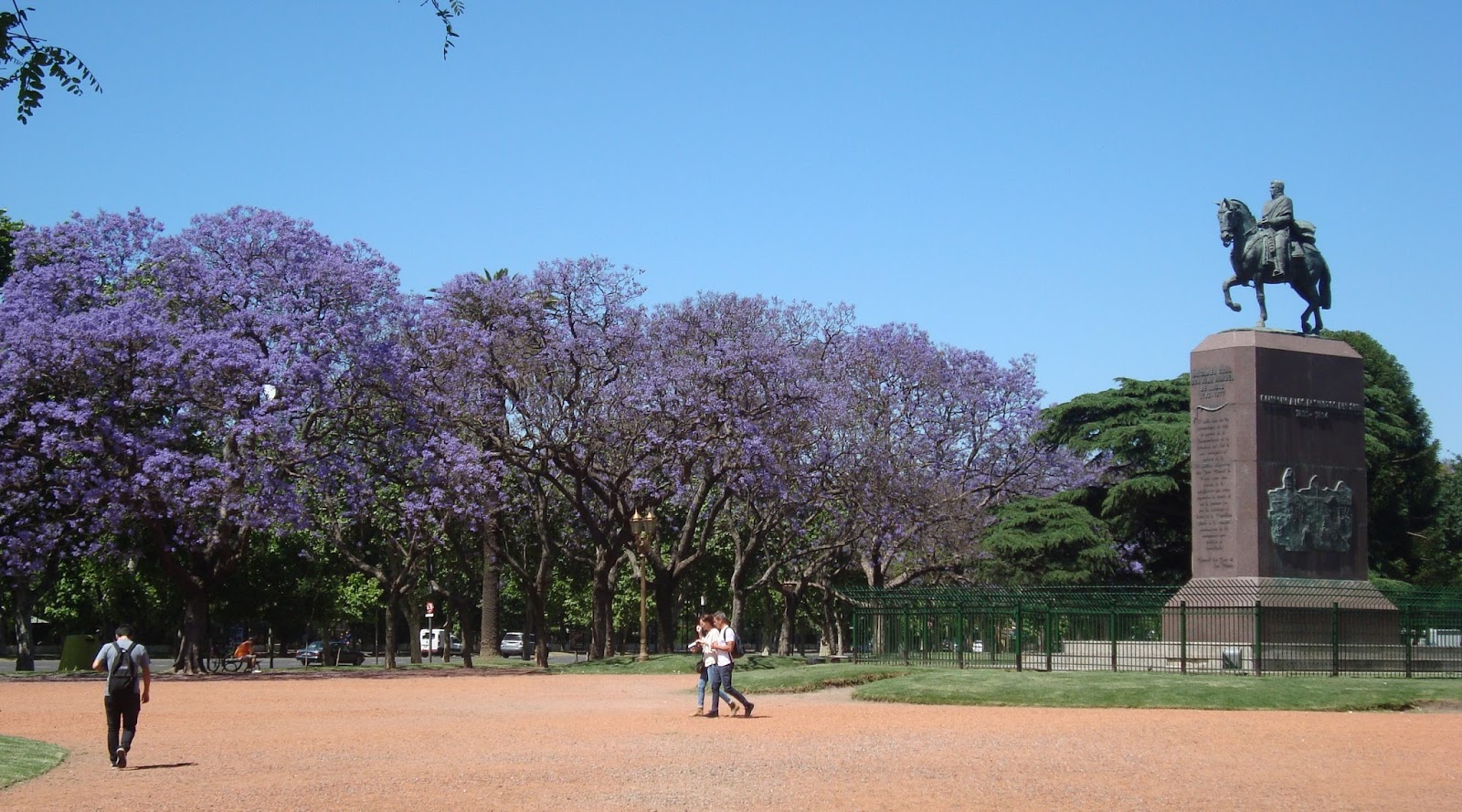 November in Buenos Aires, Jacaranda trees in bloom | My Buenos Aires ...