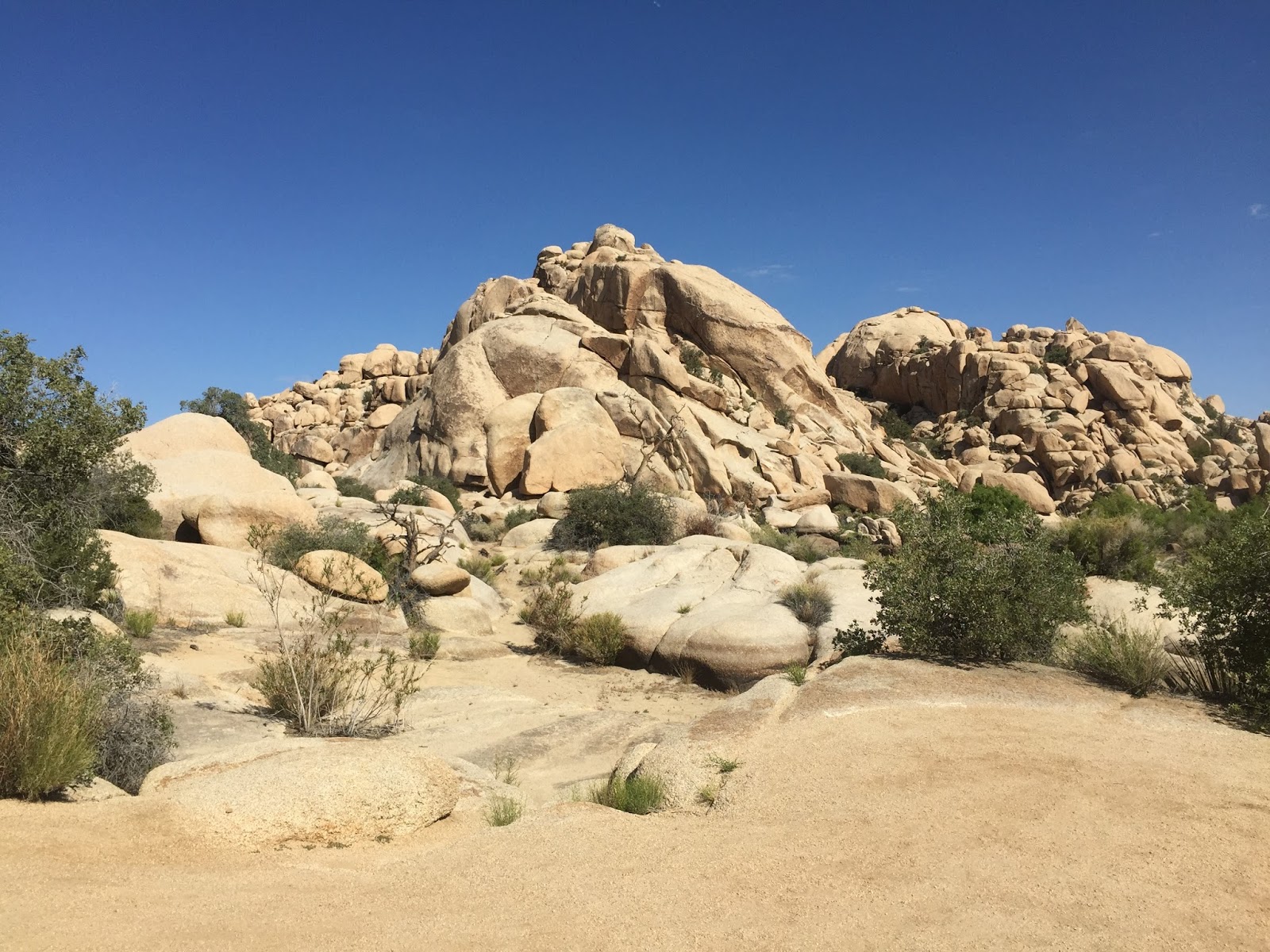 50 Hikes for 2015: Hike #25 - Barker Dam Nature Loop Trail - Joshua ...