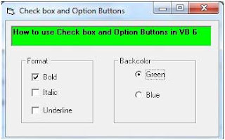 How to use Check box and Option Buttons in VB 6 | Mastering Microsoft ...