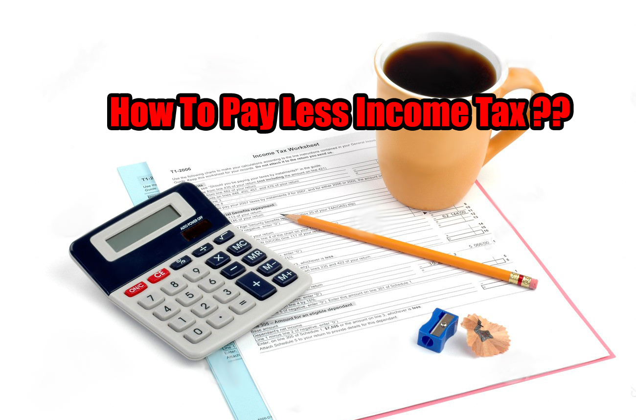Payee Paradise 打工网地: How To Pay Less Income Tax