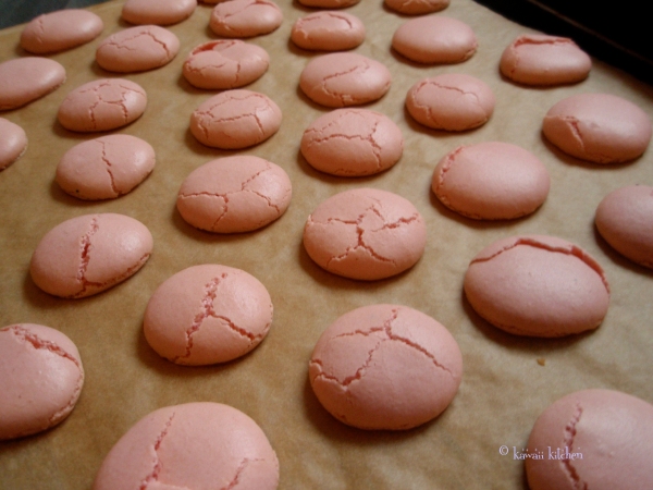 Chronicles of a Foodie: I Heart Macarons