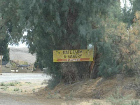 Walkabout With Wheels Blog: Our Meandering Drive to China Ranch Date ...