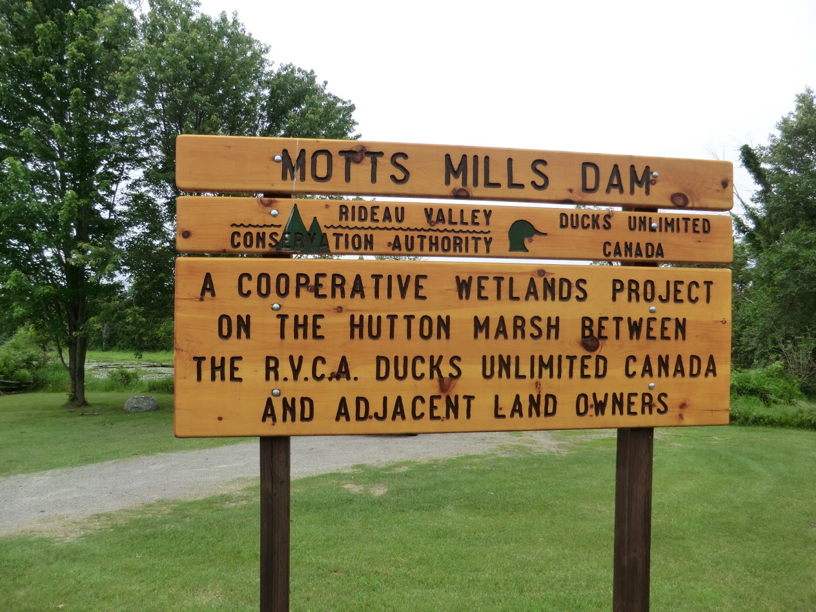 Mark Bellis: Motts Mill Dam, Hutton Marsh, Elizabethtown-Kitley ...