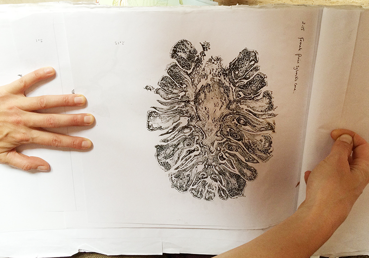 CLARE MITTEN: Research/Studio Visit: Sarah Simblet