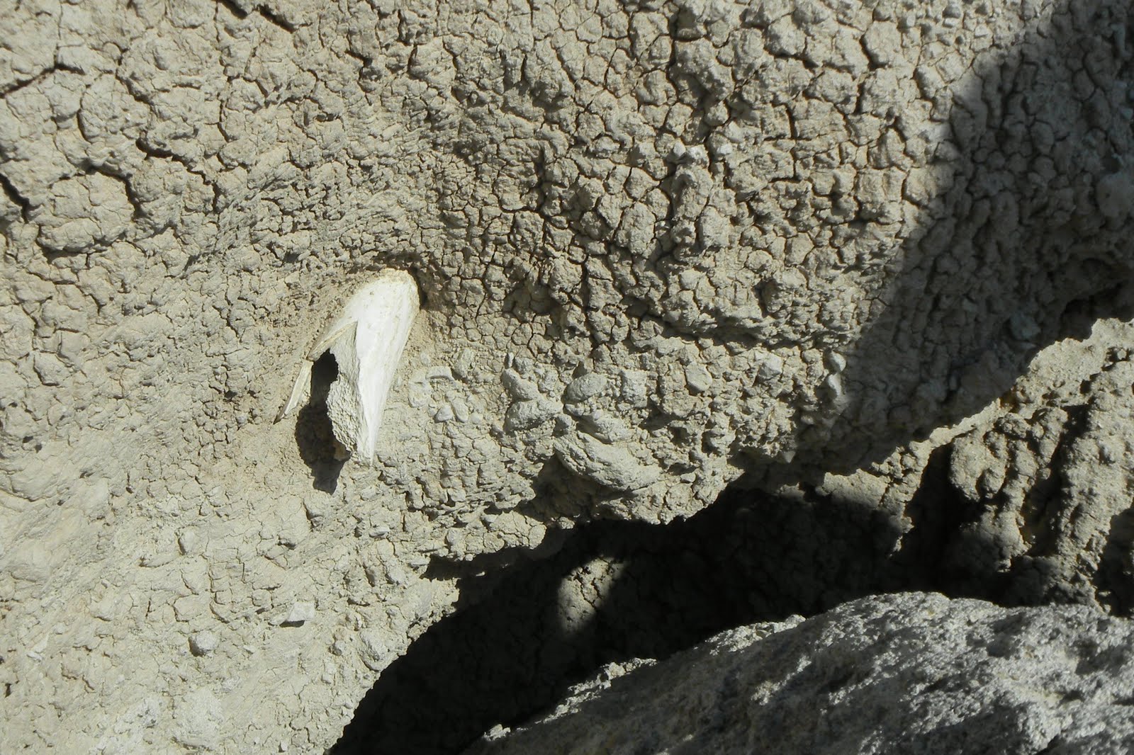 Tolsons' Discovery Travels: Mitchell, Badlands, Wall, & Interior, SD