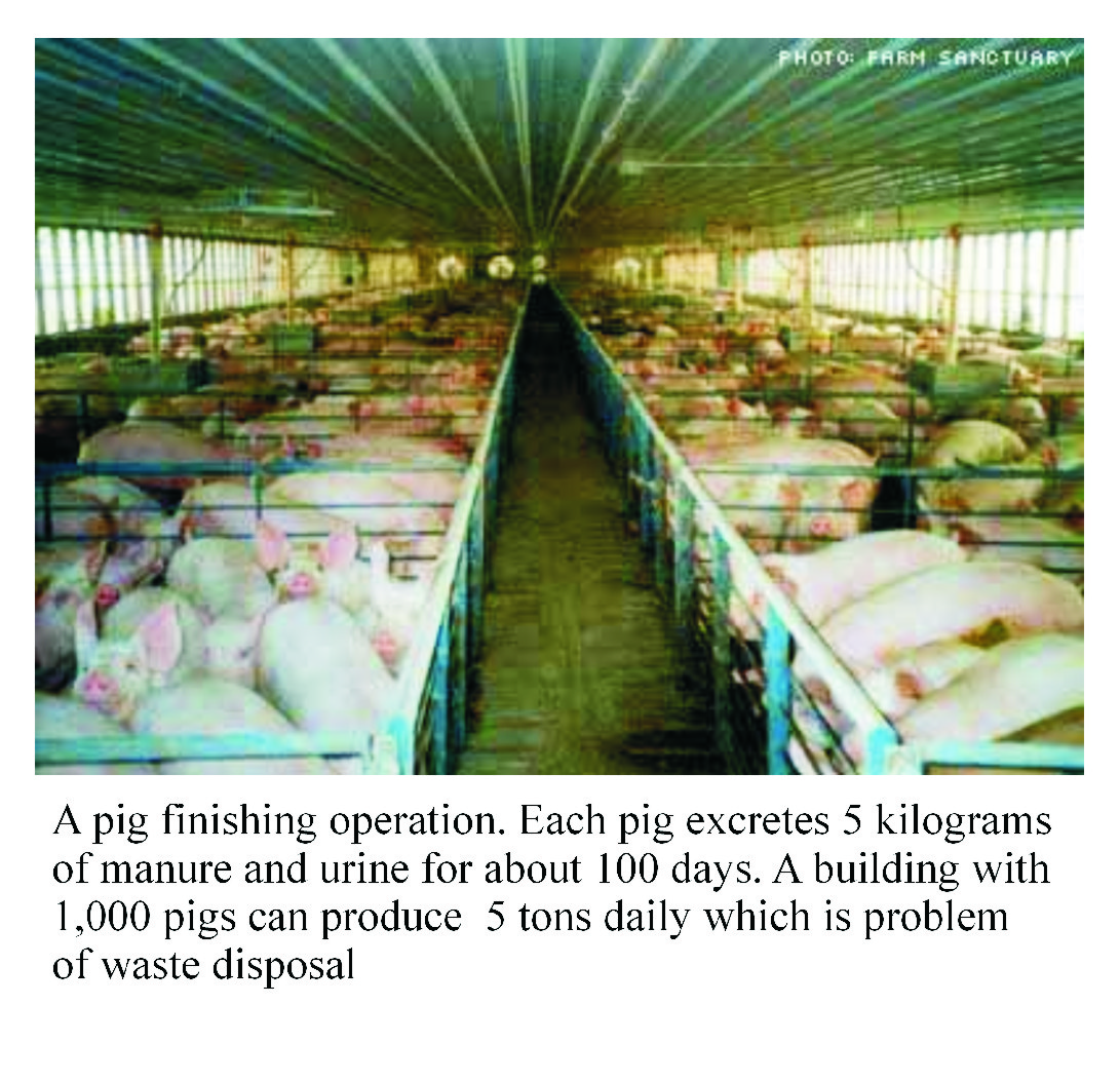 SIMPLY BUSINESS: FARMING OPERATIONS THAT ACCELERATE CLIMATE CHANGE