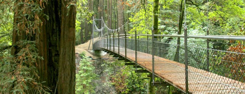 SELEÇÃO DOS MELHORES ESTUDOS BIBLICOS: O orvalho do Hermon - Salmo 133