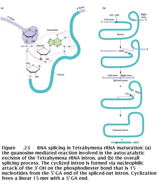 Next Biotechnology News | eBio World: RNA and Antibody Molecules as ...