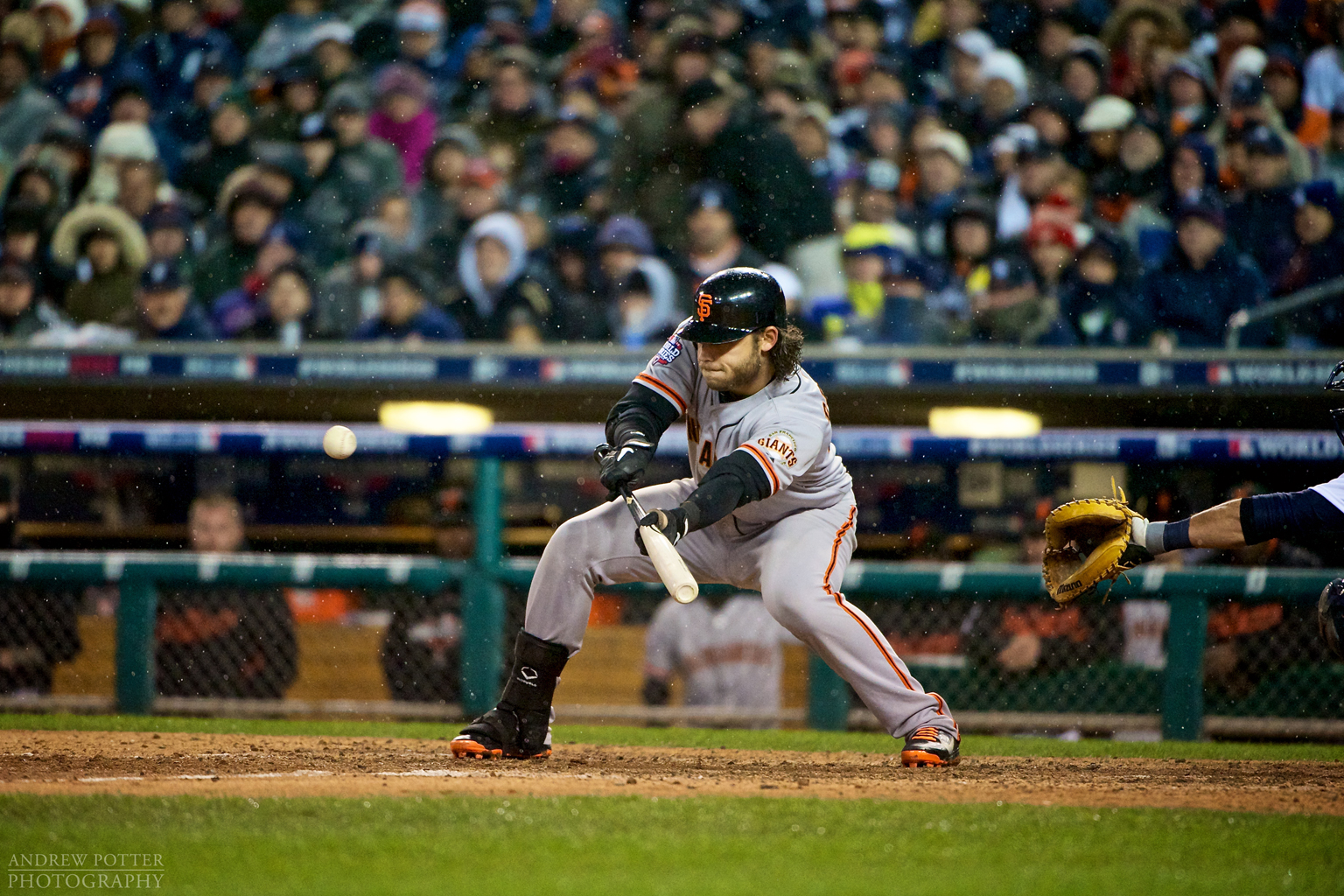 Andrew Potter Photo Blog: San Francisco Giants Win World Series 2012