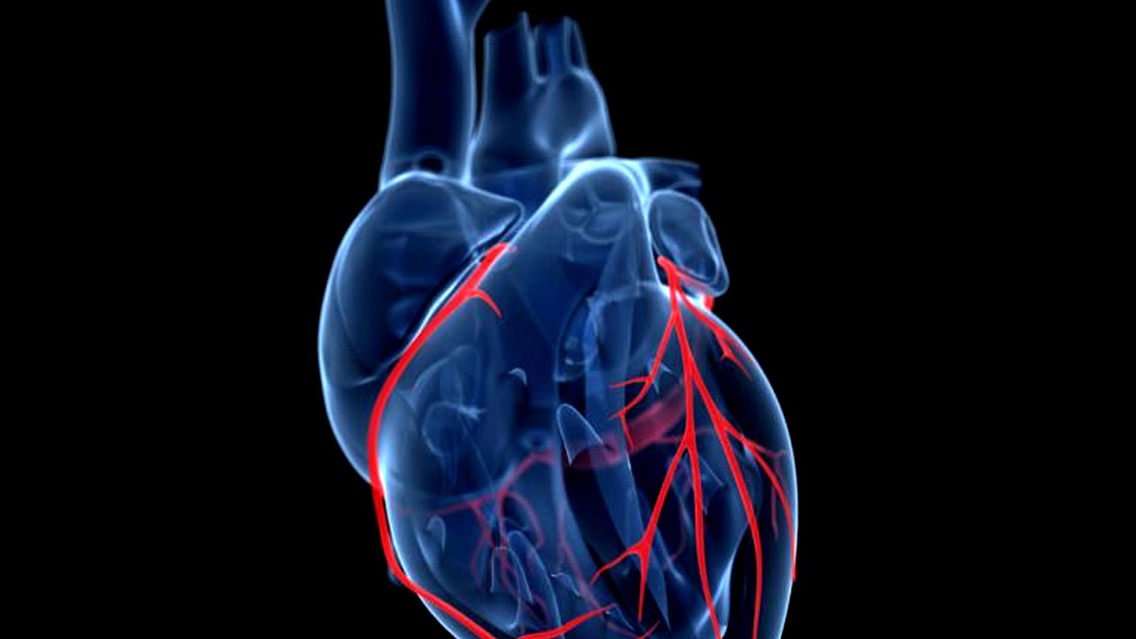 Cardiology - Cardiology Heart - Hear Choices