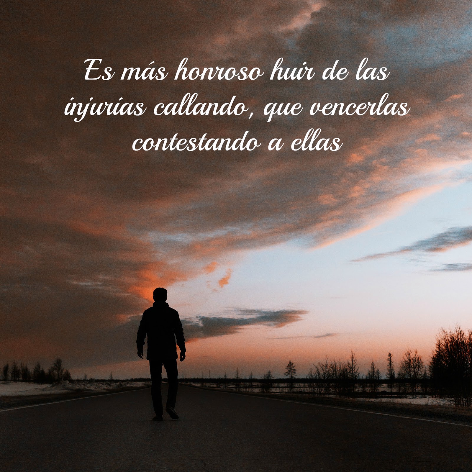 559 - Injurias ~ PALABRAS PARA LA ETERNIDAD