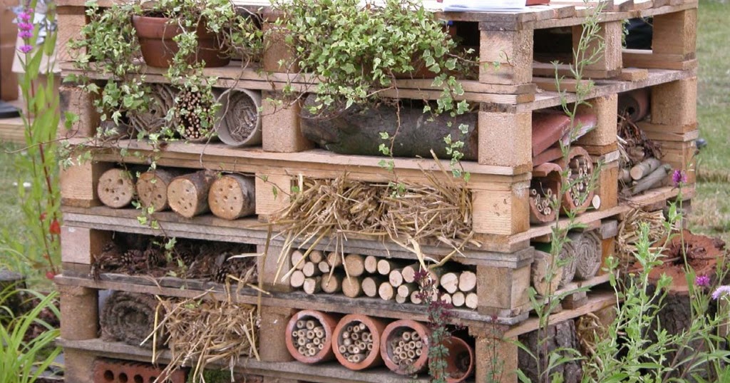 Inside Martyn's Thoughts: Making a Mini Beast House