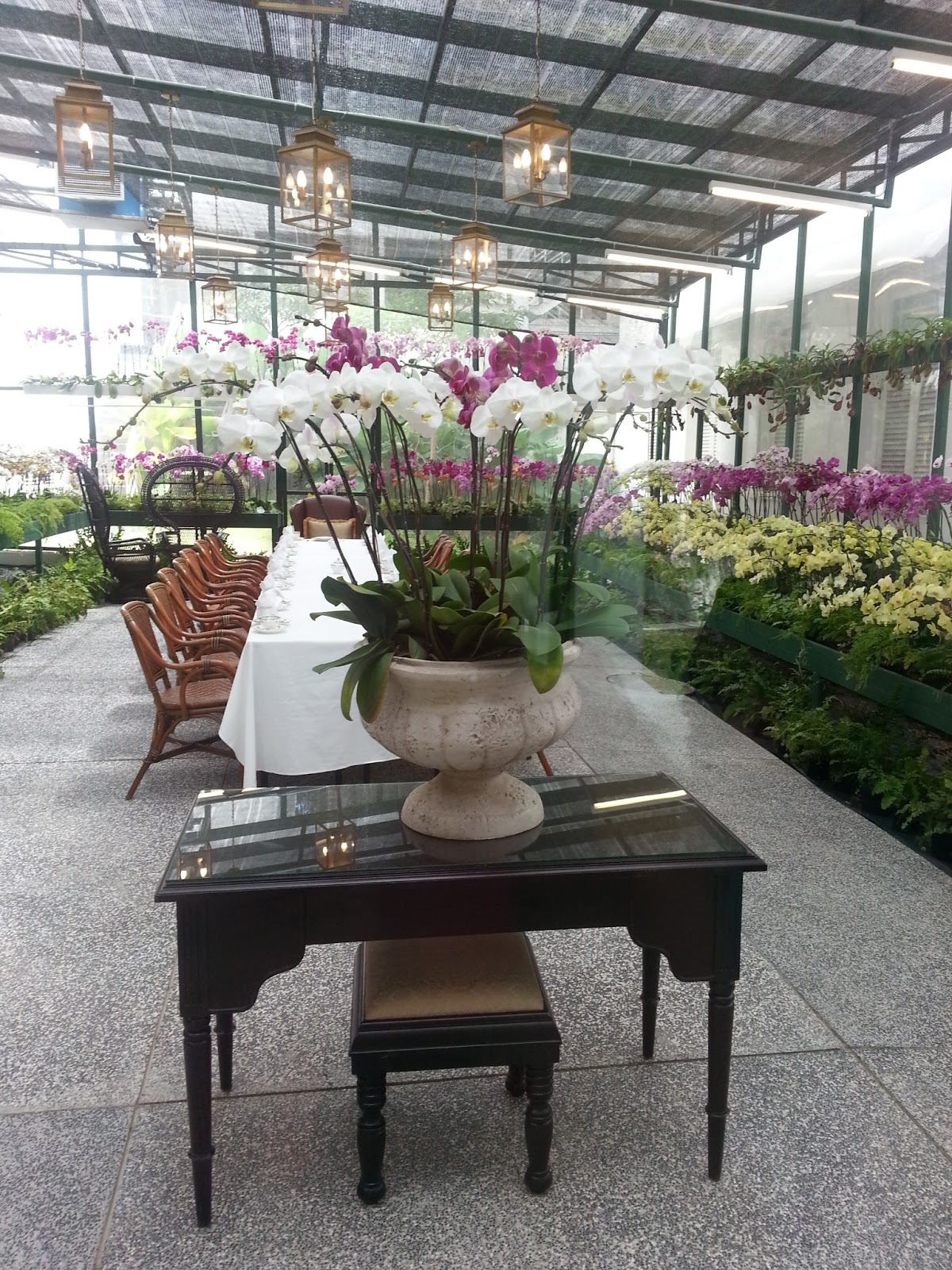 The Orchid Conservatory ~ SURIA AMANDA