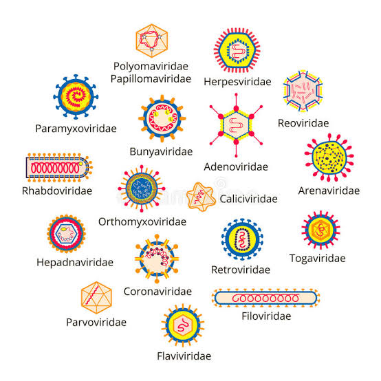Virus classification