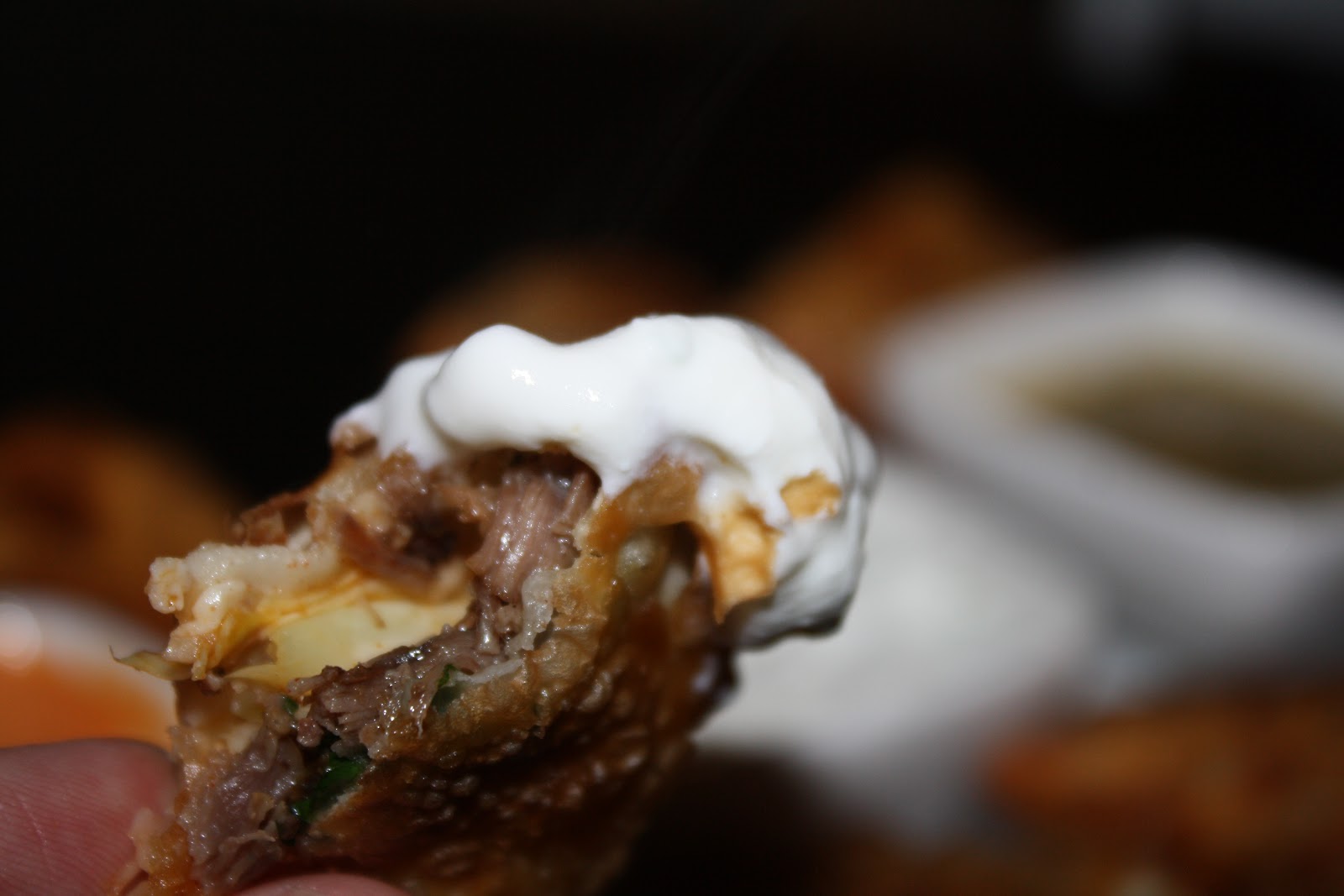 An Immovable Feast: Short Rib Egg Rolls