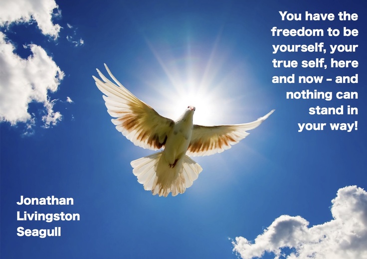 Rev. Jack Rudy: Spiritual Reading - Jonathan Livingston Seagull