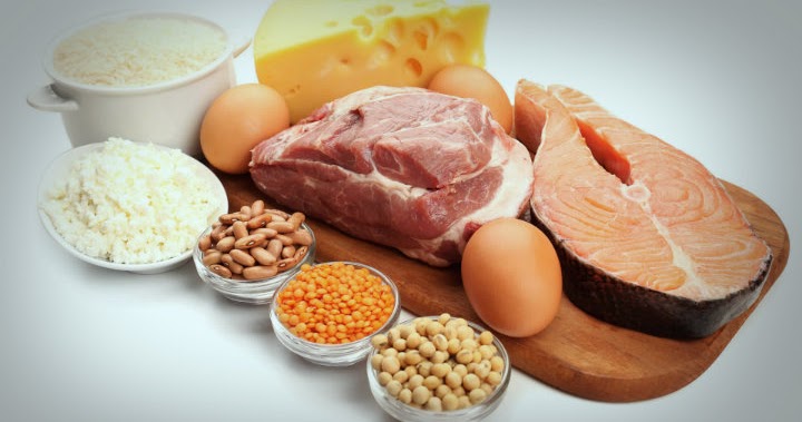 Ciências Naturais: Prótidos